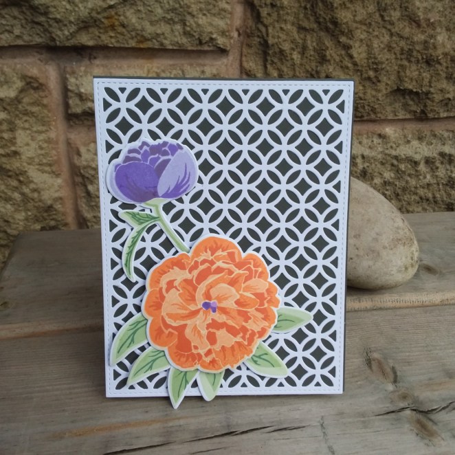 Floral selection – loopyloocards