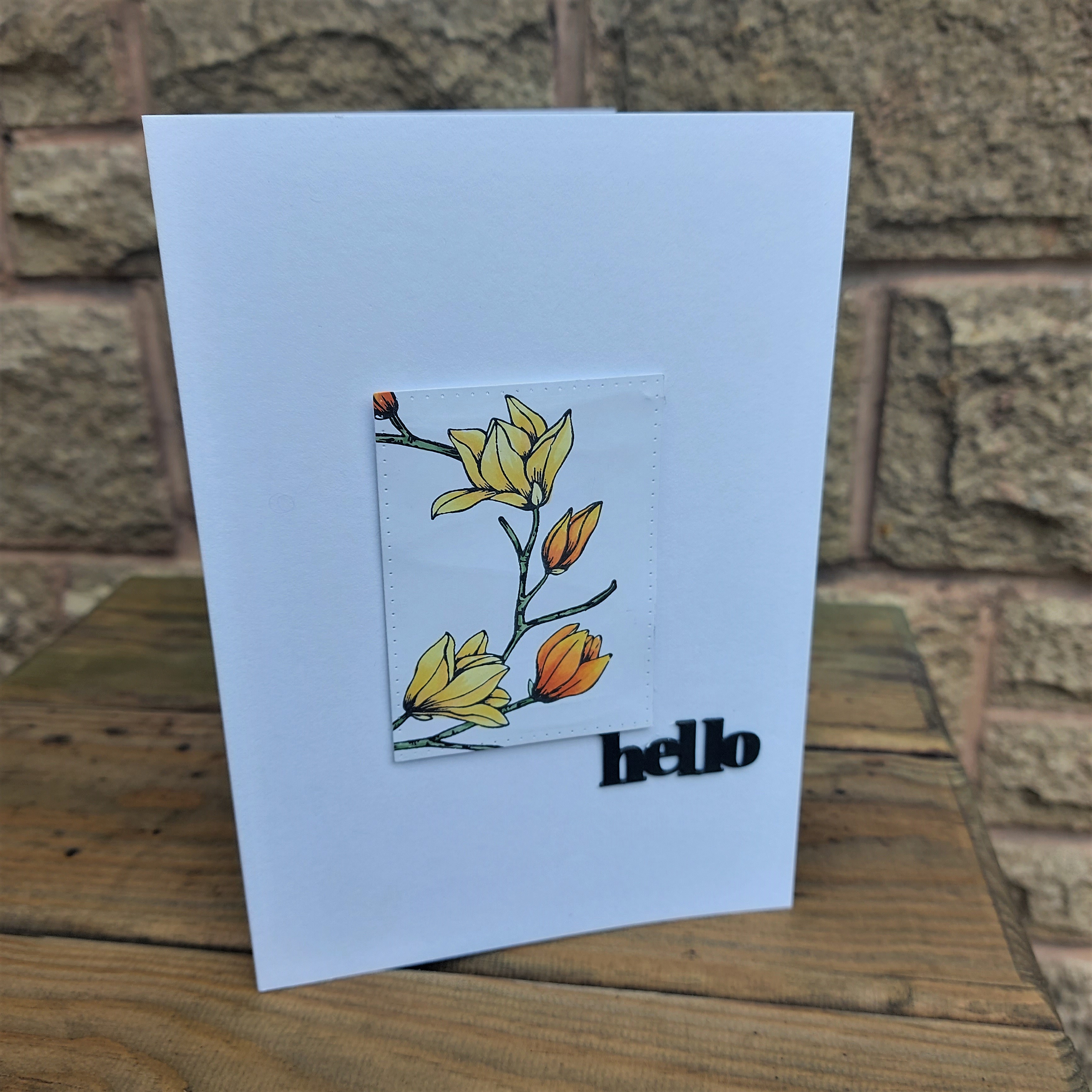 Birthday and Hello – loopyloocards